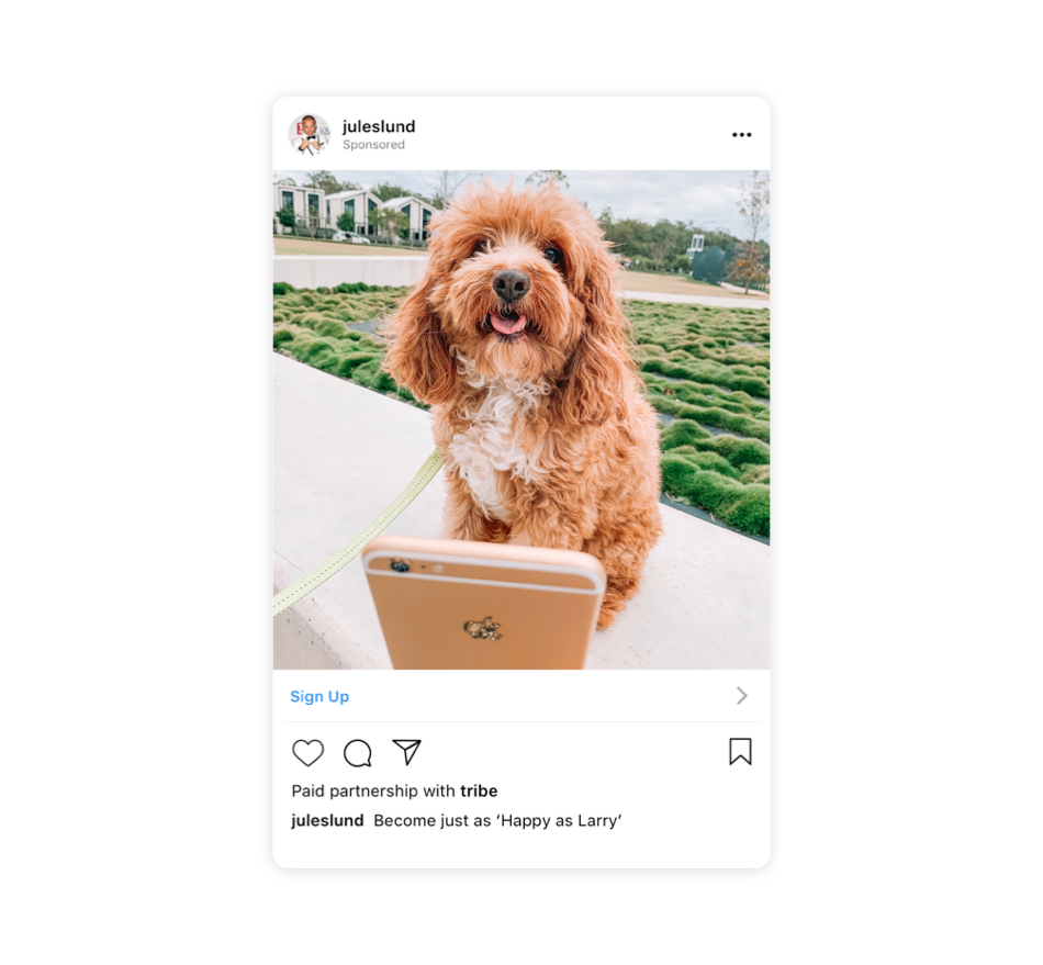 Visual Guide: How to turn an Influencer's Paid Partnership into a ...