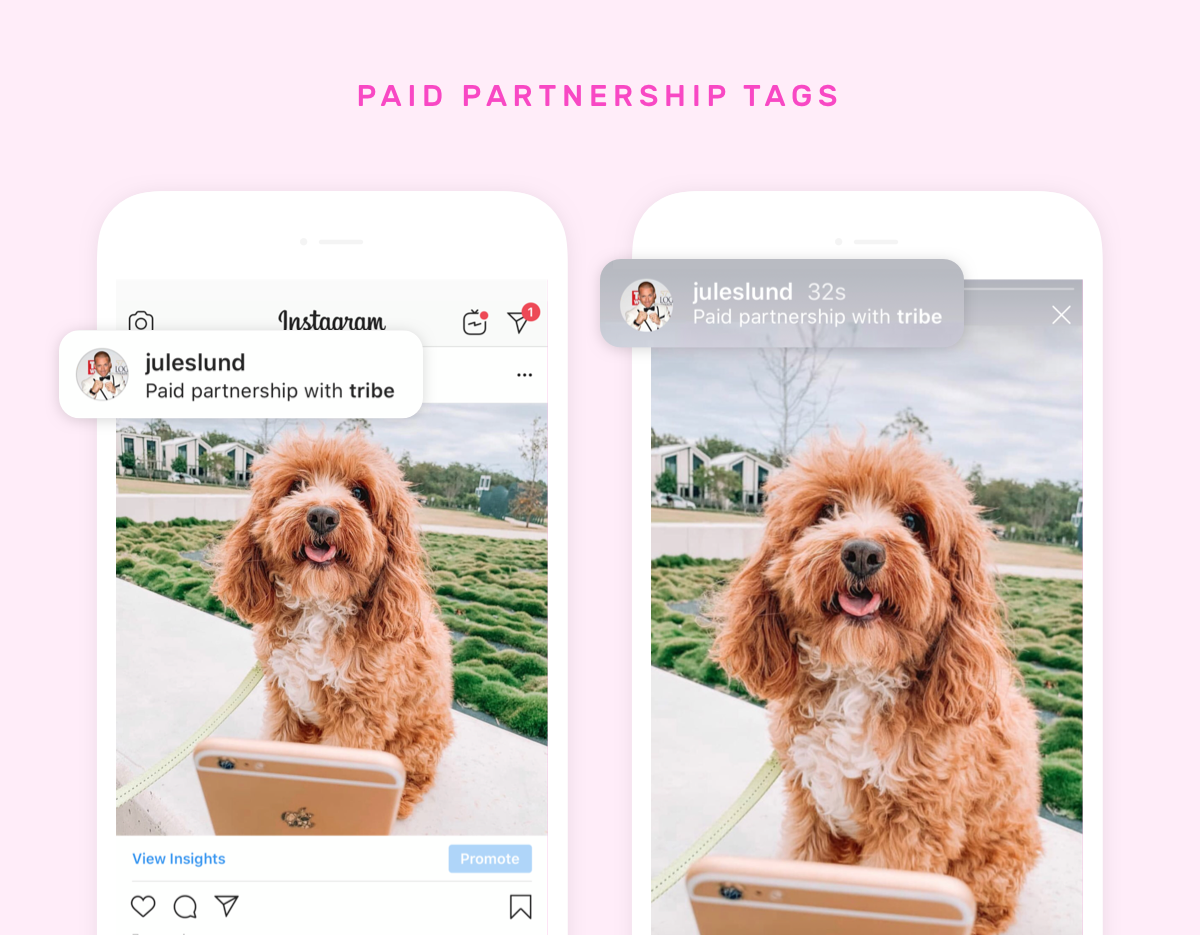 A Creator’s Guide to Instagram’s Paid Partnerships - TRIBE