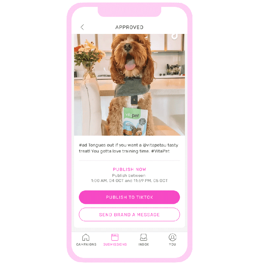 5 Steps to Getting Started on the TRIBE App - TRIBE
