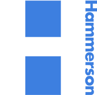 Hammerson sold their stores to 4.2m followers for January Sales