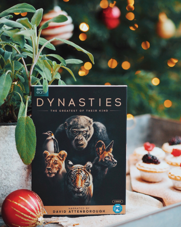 BBC Studios used 13 creator posts and engaged 5.26% of their followers